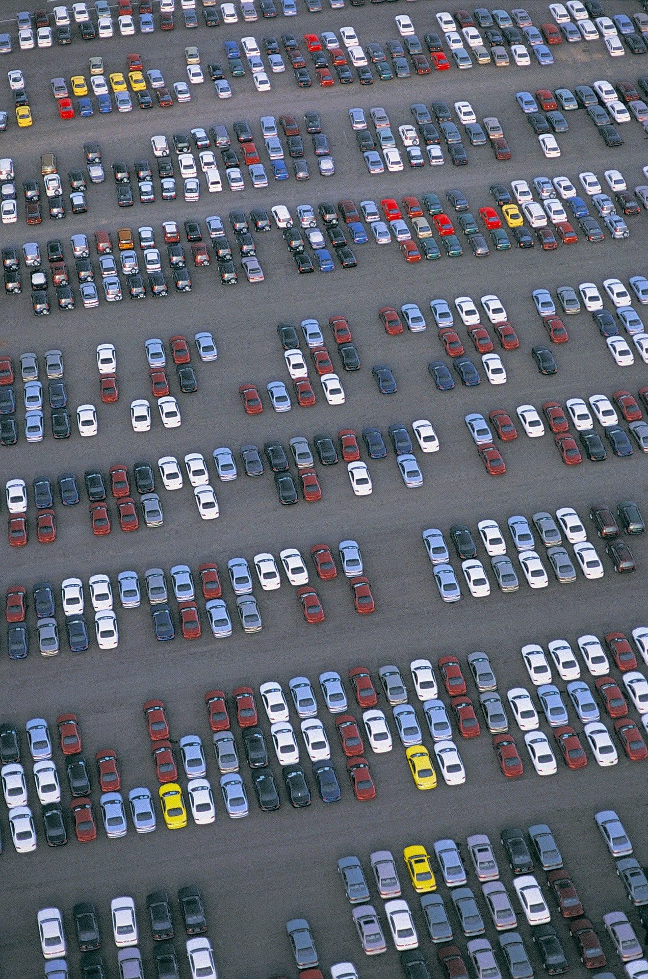 The guide to allocated parking for businesses - Wayleadr